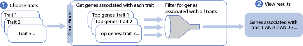 Gene Finder | Knowledge Portal Network